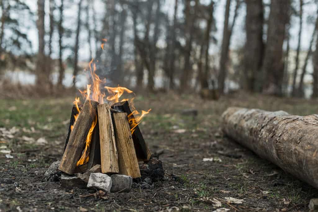Nos meilleurs conseils pour allumer un feu - Editions du Gerfaut