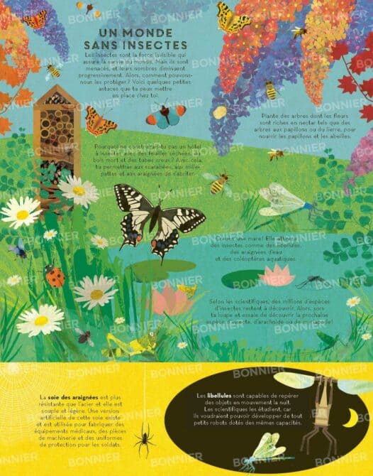 DES INSECTES PAR MILLIERS - Editions du Gerfaut